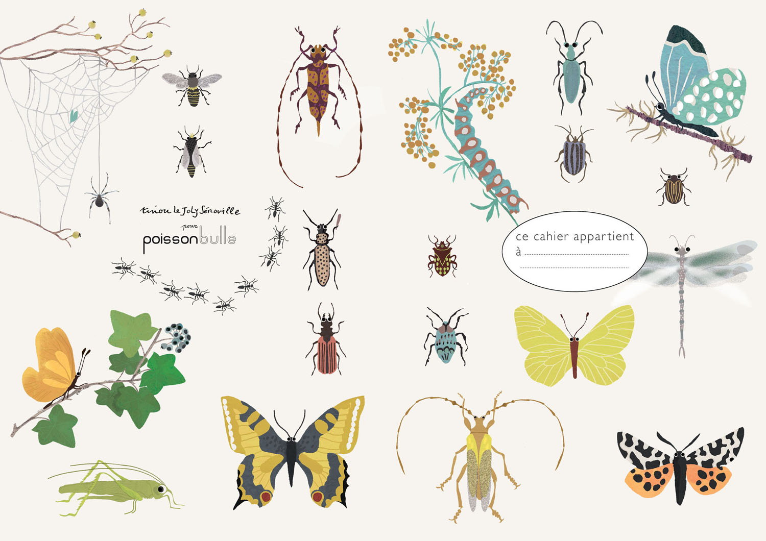 Poisson Bulle | Tinou Le Joly Sénoville